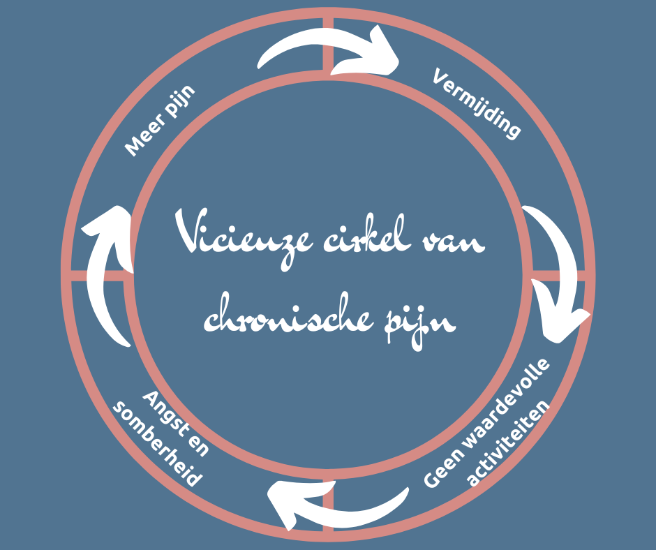 Hoe waardevolle dingen bijdragen aan minder pijn - Mindful Motion Studio