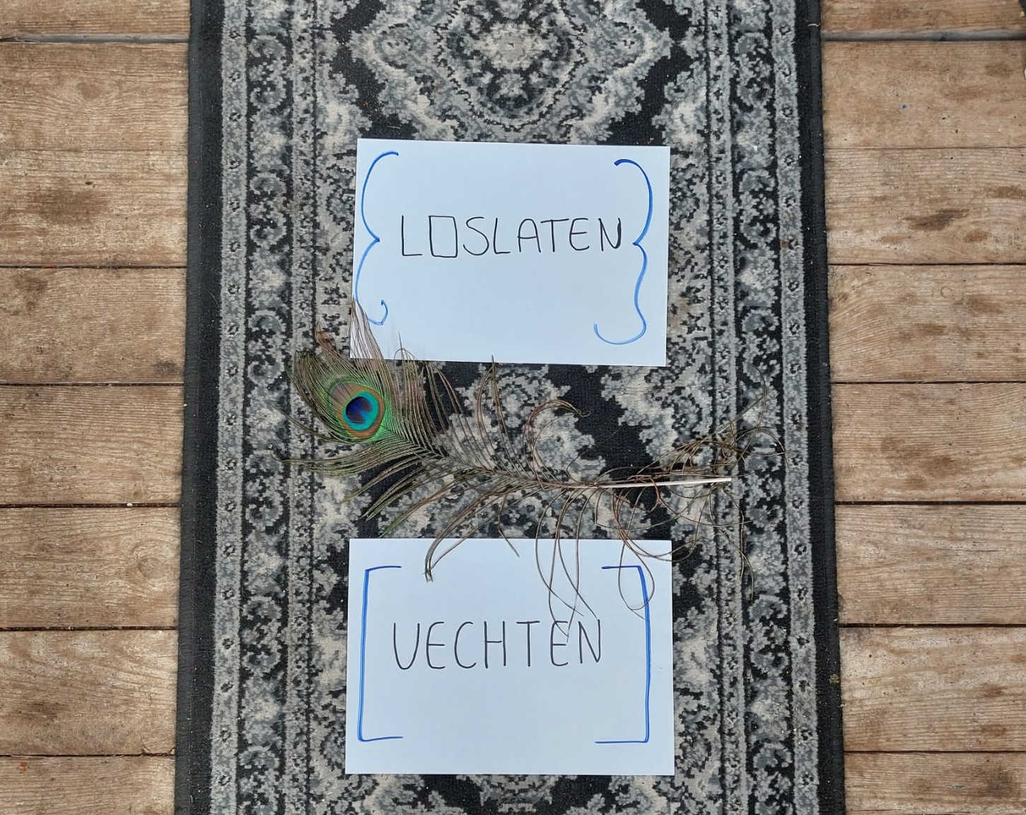 Vechten vs loslaten; een oefening - Mindful Motion
